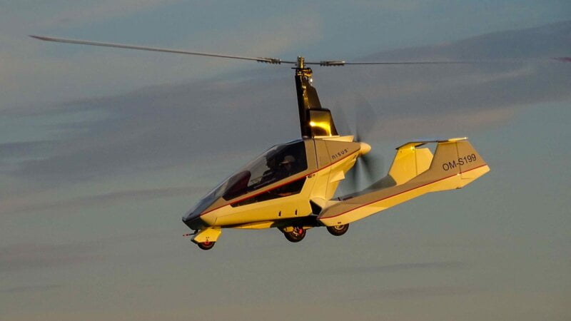 Nisus Aero | Aviation Synergy